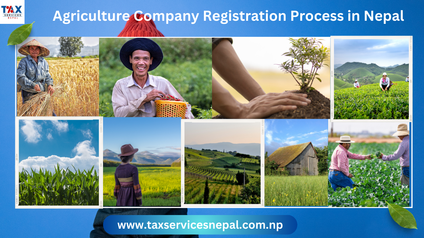 Agriculture Company's Registration Process